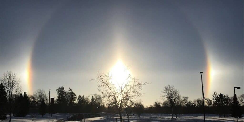 What are Sun Dogs? | DogCentral
