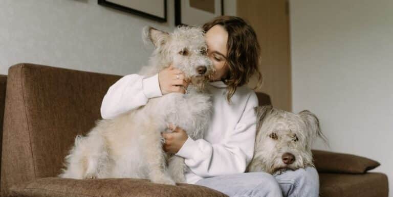 What is a Psychiatric Service Dog? A Complete Guide to PSDs | DogCentral