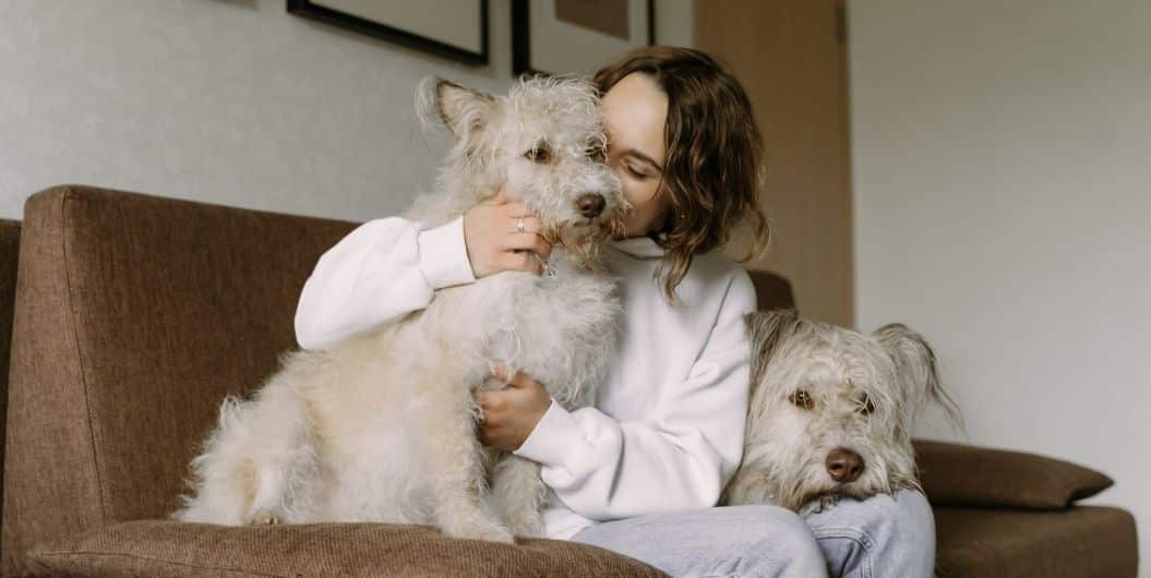 What is a Psychiatric Service Dog? A Complete Guide to PSDs | DogCentral