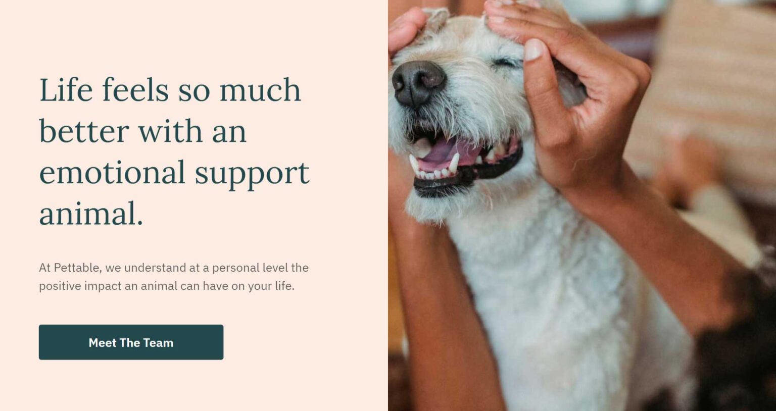 Pettable vs CertaPet: Online ESA Letter Services Review [2024]