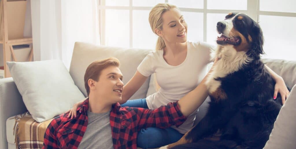 How To Get An Emotional Support Animal ESA Letter In California how-to-get-an-emotional-support-animal-esa-letter-in-california
