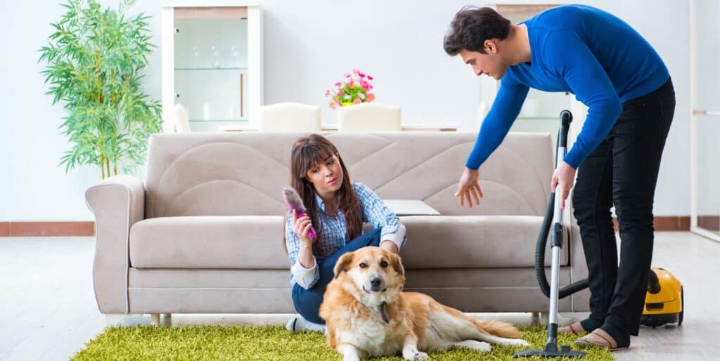 The Ultimate Guide to Becoming a Zero-Waste Pet Parent - The Zero-Waste Pet