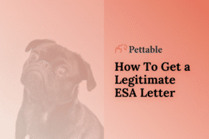 Pettable Review: The #1 Best Option for A Legitimate ESA Letter DogCentral